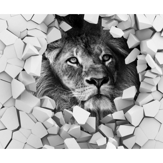 3D obraz Lev, 150x100 cm | DESIGN OUTLET