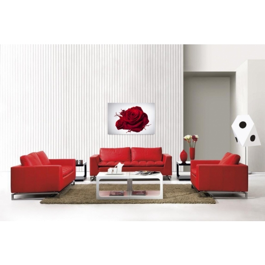 Obraz Růže, 150x100 cm | DESIGN OUTLET