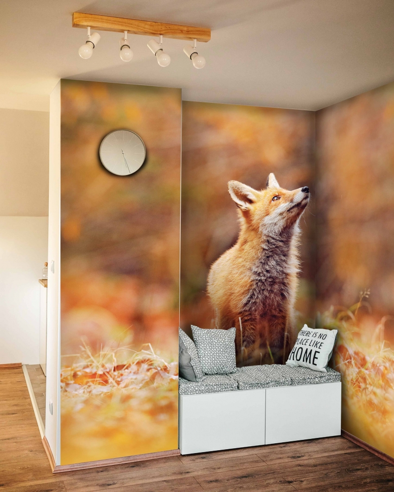 Tapeta Liška, 432 x 290 cm | DESIGN OUTLET